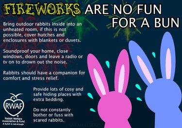 Fireworks - WabbitWiki