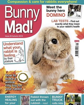 Rabbit resource subscriptions - WabbitWiki