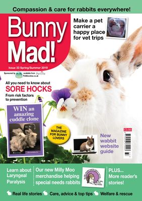 Rabbit resource subscriptions - WabbitWiki
