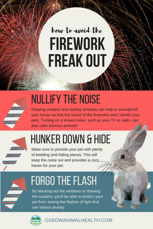 Fireworks - WabbitWiki