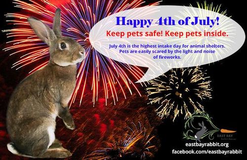 Fireworks - WabbitWiki