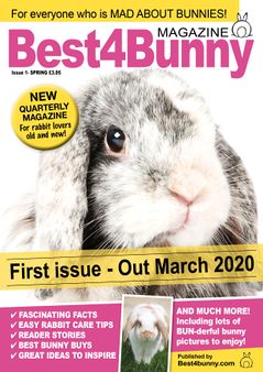 Rabbit resource subscriptions - WabbitWiki