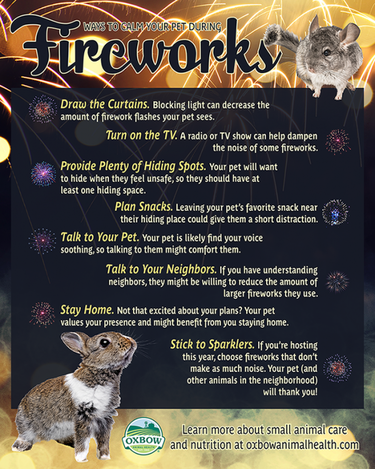 Fireworks - WabbitWiki