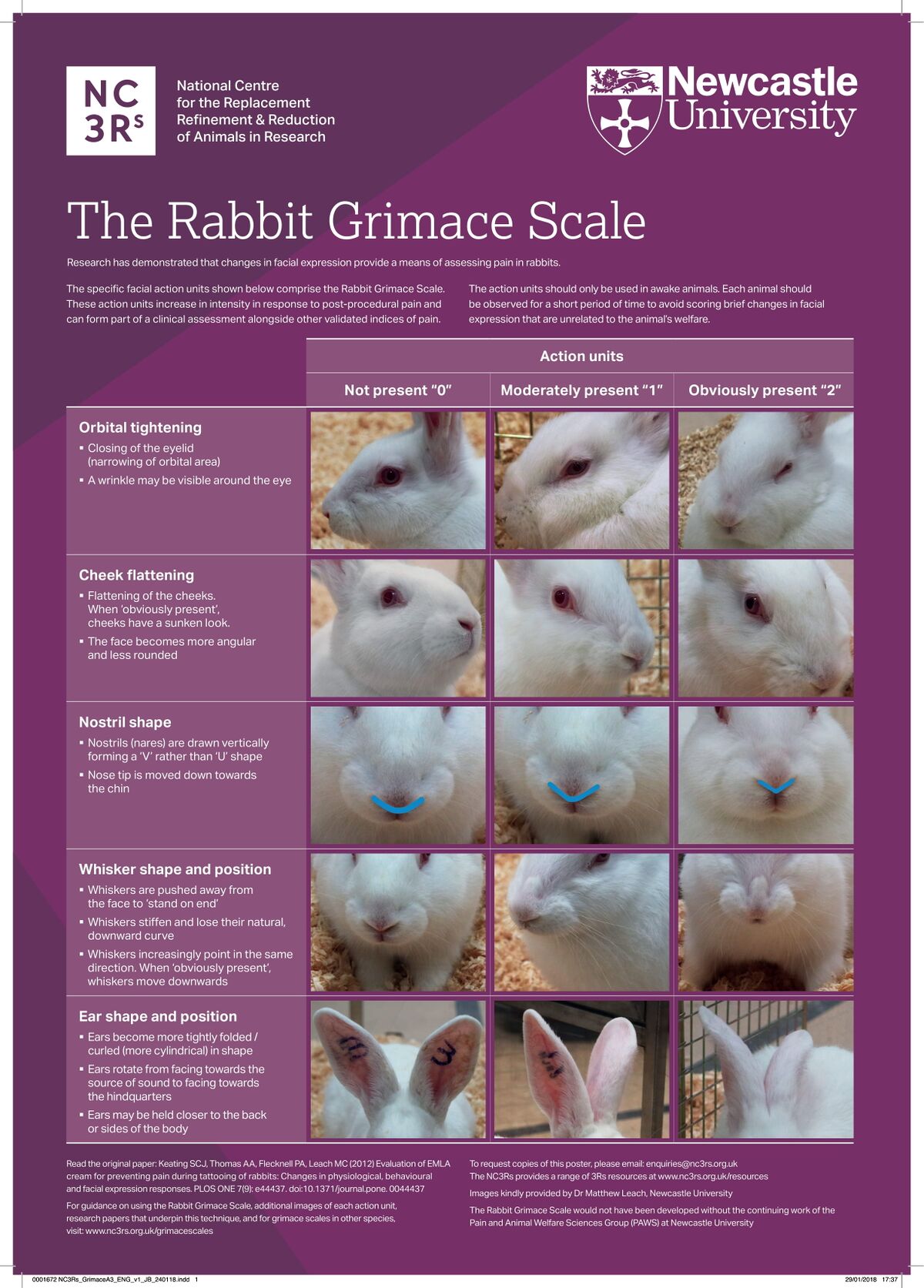 Index of /images/thumb/a/a9/RGS-poster-NC3RS-2021.jpg/