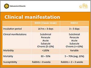 Rabbit hemorrhagic disease - WabbitWiki