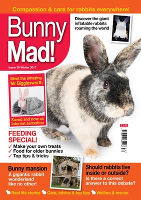 Rabbit resource subscriptions - WabbitWiki