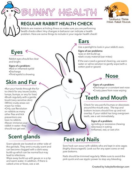 Wellness check - WabbitWiki