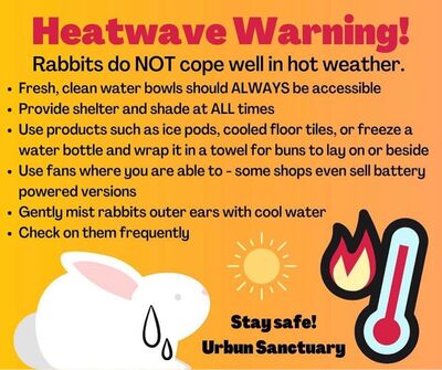 Hot weather concerns - WabbitWiki