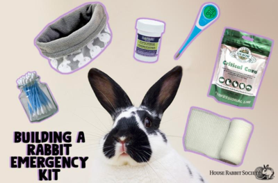 First aid kit for rabbits - WabbitWiki