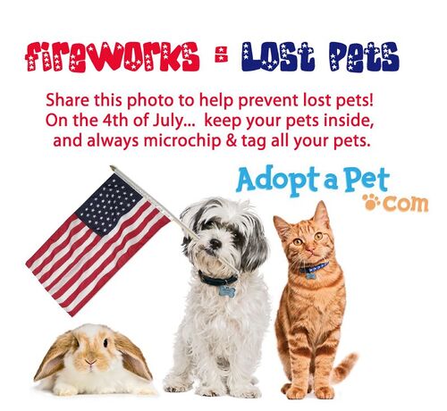 Fireworks - WabbitWiki