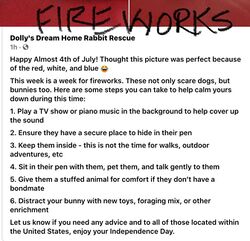 Fireworks - WabbitWiki