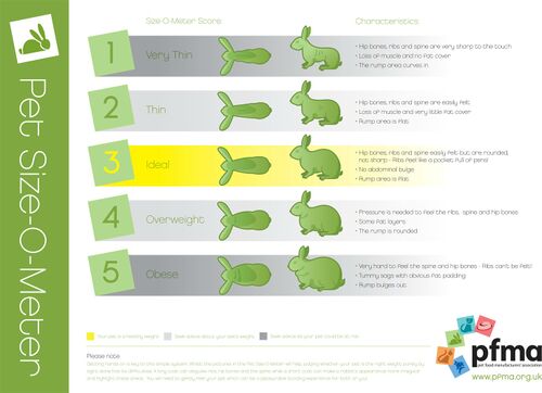 Weight management - WabbitWiki