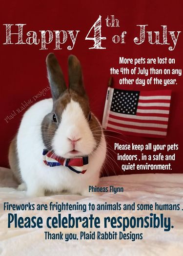 Fireworks - WabbitWiki