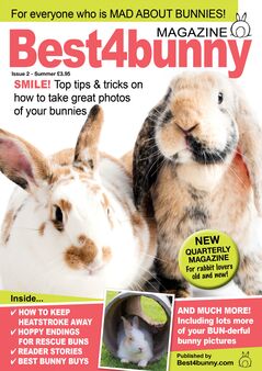 Rabbit resource subscriptions - WabbitWiki